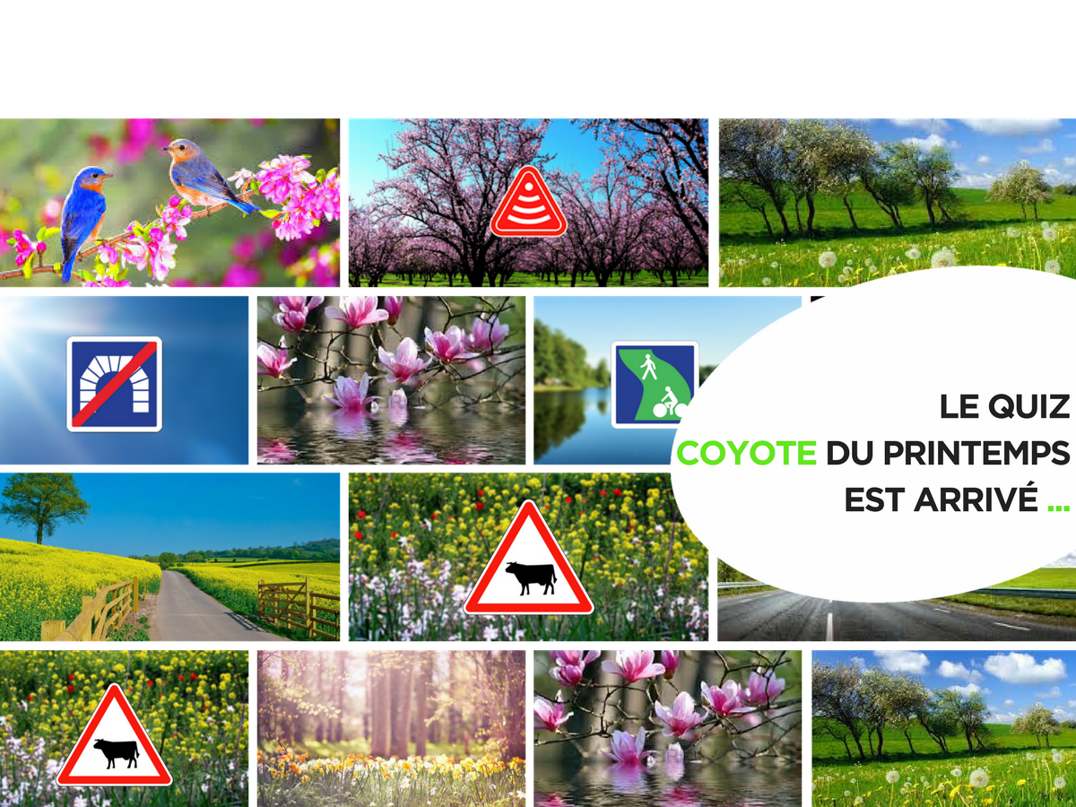 Quiz du Printemps, il est arrivé ! Testez-vos connaissances